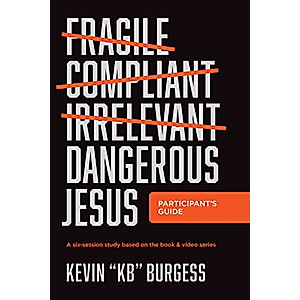 Dangerous Jesus Participant's Guide: A Six-Session Study Based on the Book and Video Series
