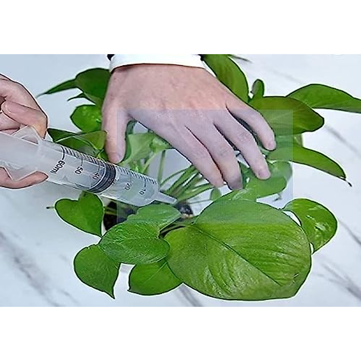 Med Chalet EXELint Disposable Syringe, Sterile Single Pack, 50 ml to 60 ml Medical Grade Catheter Tip, J1