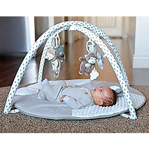 Gabby Grove Gentle Jungle Educational Baby Activity Gym and Infant Play Mat in Grey Shower Gift for Newborn with Mirror, Tummy Time Pillow, and Toys in Gray, White and Cream Neutral Tones
