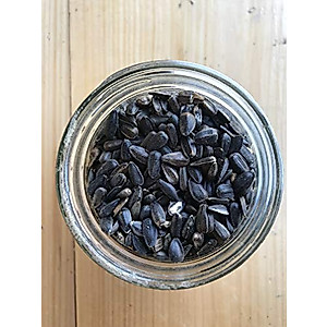 Homestead Harvest Ernst Grain Black Oil Sunflowers, Non-GMO (40 lb)