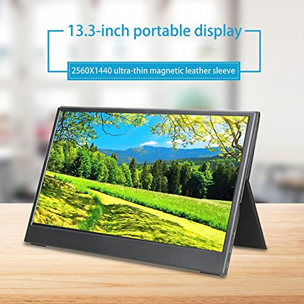Dyegold Portable Monitor 13.3 Inch,2K UHD HDR IPS Laptop Computer Monitor HDMI USB-C External Screen with Dual Speakers for PC,Phone,Game Console,Smart Cover Included