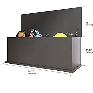 40" Storage Chest Trunk, Modern Wood Chest Kids Toy Box Organizer with Lift Top and 2 Safety Hinges Sturdy and Large Storage Trunk for any Playroom, Bedroom and Living Room