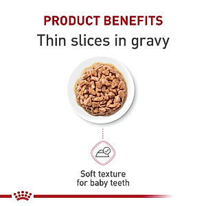 Bundle of Royal Canin Feline Health Nutrition Kitten Thin Slices in Gravy Canned Cat Food, 3 Oz Can, Pack of 24 + Royal Canin Feline Health Nutrition Kitten Canned Cat Food 24 Count (Pack of 1)