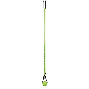 Jolly Pets Tree Tugger For Dog, Green