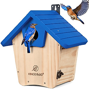 Kingsyard Design Bird House with Predator Guard, Colorful Birdhouse for ...
