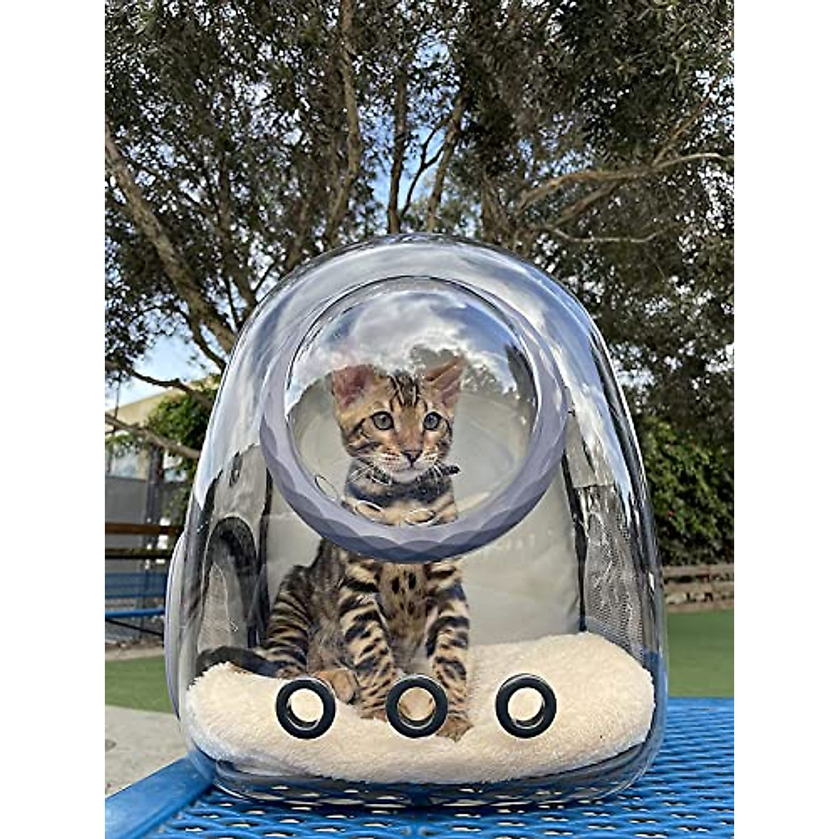 Bubble Cat Carrier Backpack, Transparent Pet Carrier Backpack for Small Puppy and Bunny, Space Capsule Bubble Cat Backpack Carrier, Airline Approved Waterproof Green Pet Backpack for Small Dog