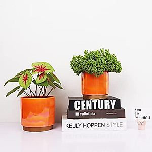 Gepege Ceramic Indoor Pots for Plants, Rainbow Pearl Glaze Planter with Drainage Hole, 6.0 inch+5.0 Inch+4.0 Inch. Orchid Flower Pots