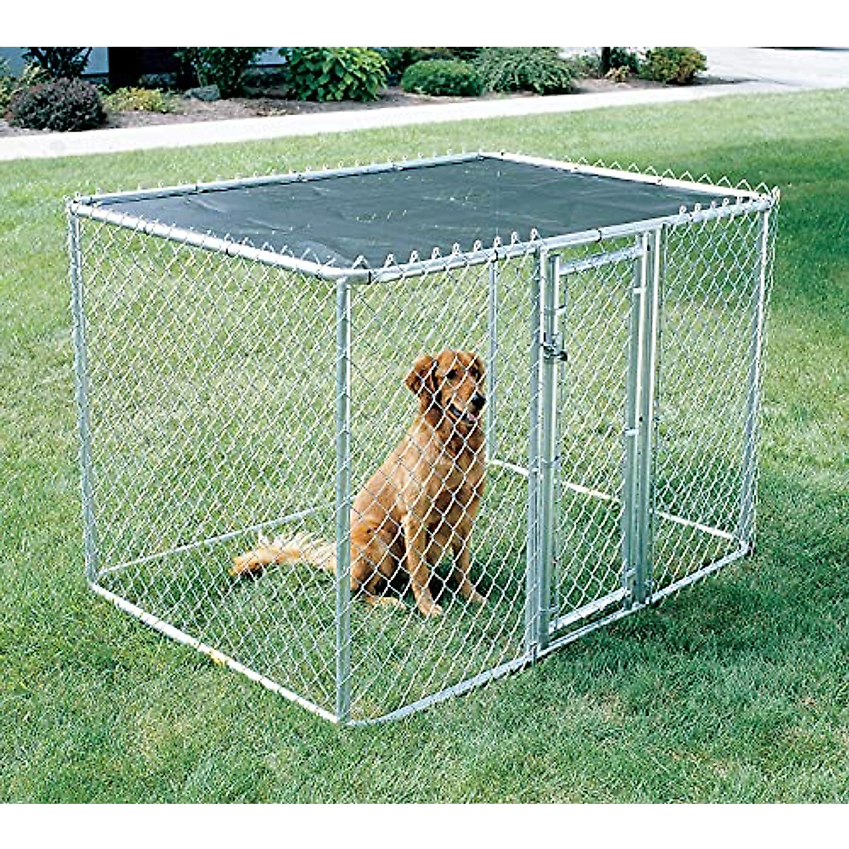 MidWest Homes For Pets Chain Link Portable Kennel with a Sunscreen, 6 by 4 by 4-Feet
