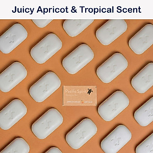 Pacific Spirit Moisturizing Shampoo Bar with Argan Oil for dry Hair - High Shine - Tropical Scent - SLS free, Sulfate-Free, Soap-Free, Zero Waste, Vegan, 3.53 Oz