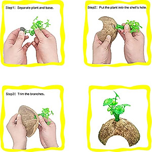 Hermit Crab Shells Natural Coconut Shell Hut Artificial Plants 19 PCS Decoration Supplies House Tank