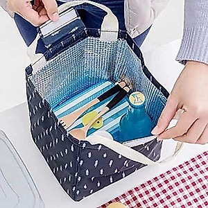 2 Pack Insulated Lunch Bags, Work Travel Picnic School Bento Lunch Bag - Durable & Waterproof Lunch Organizer Lunch Tote for Men, Women and Kids