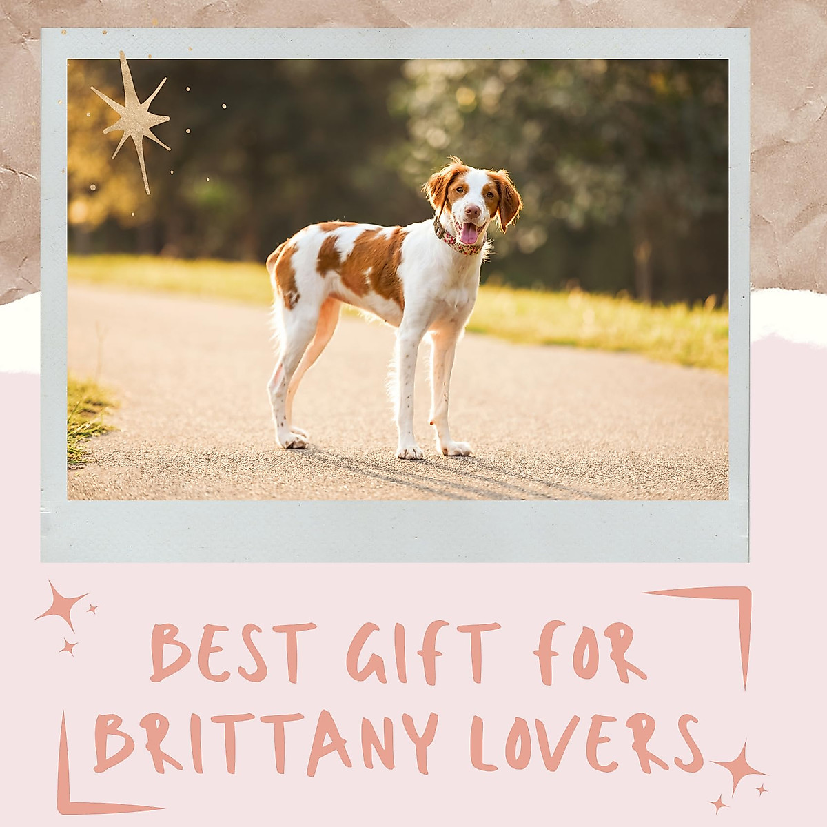 Onebttl Brittany Spaniel Gifts for Brittany Mom, Brittany Dog Design, Dog Mom Gifts, 20oz Stainless Steel Insulated Skinny Tumbler with Lid & Straw, Rose Gold - Brittany Mom
