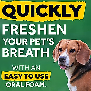 TropiClean Fresh Breath Foam for Dogs & Cats | Travel-Ready Dog Breath Freshener Foam for Stinky Breath | Made in the USA | 4.5 oz