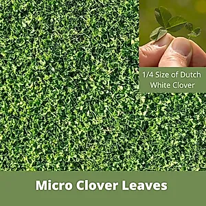 Flawn Seed Kits Micro Clover Seed, Organic Coated, Eco-Friendly, Low Growing, Low Maintenance, Lawn Alternative, Compostable Pouch, Over-Seed up to 500 sqft