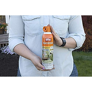 Ortho Home Defense Backyard Mosquito and Bug Killer Area Fogger 16 oz.