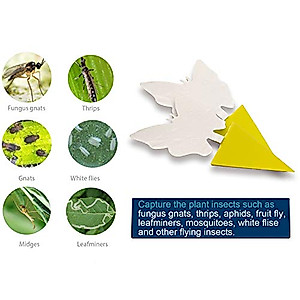 COSYWORLD 12 Pack Yellow Sticky Bugs Traps for Indoor/Outdoor Use, Gnat Trap for Flying Plant Insect Such as Fungus Gnats, Whiteflies, Aphids, Fruit Fly, Leafminers- Disposable Glue Trappers