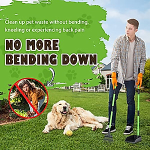 MXF Pooper Scooper, Dog Pooper Scooper Long Handle Stainless Metal Tray and Rake Set for Medium Small Dogs Heavy Duty - Use on Grass, Dirt or Gravel - Pet Supplies (Green)