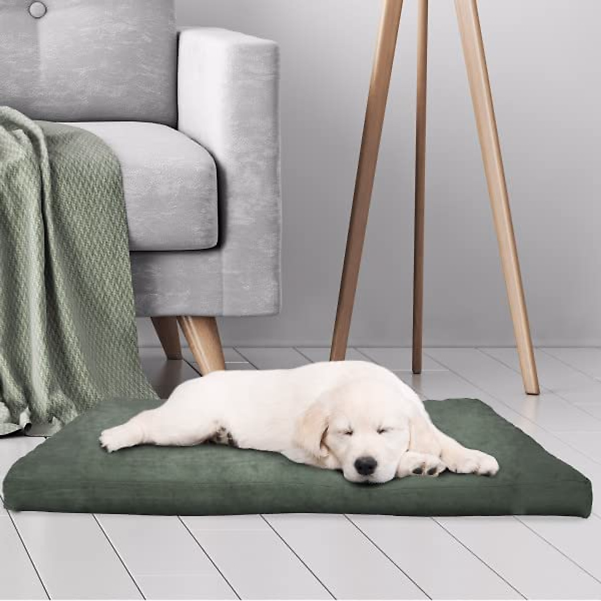 PETMAKER 3 inch Foam Pet Bed - 25.5 x 19 inches - Forest