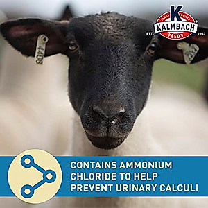 Kalmbach Feeds Medicated Ewe Builder Pelleted Feed for Sheep, 50 lb Bag