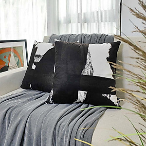 Vineland Throw Pillow Covers Set Black and White Abstract Farmhouse Cushion Case 18 x 18 Inch, Double-Sided Printing, Square Decorative Pillowcase for Home Car Sofa Decor
