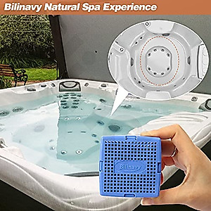 Bilinavy Hot Tub Mineral Sanitizer for Sundance Spas Filter, Silver Ion Mineral Cartridge Last for 4 Months Treats, Cleans and Clarifies