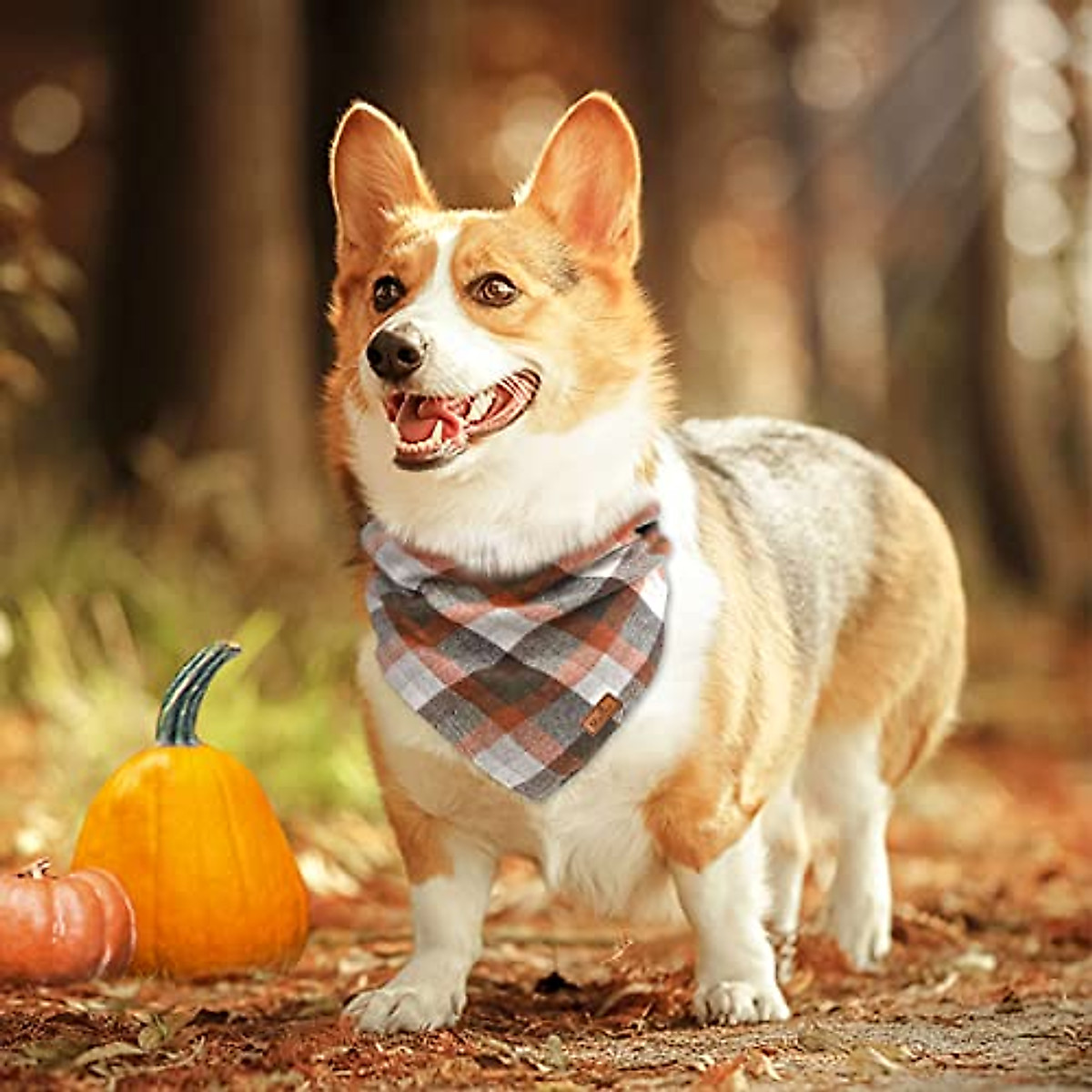 Malier 2 Pack Fall Dog Bandana Halloween Thanksgiving Plaid Dog Bandana, Holiday Pet Reversible Scareves Bibs Accessories Costumes for Small Medium Large Dogs and Cats