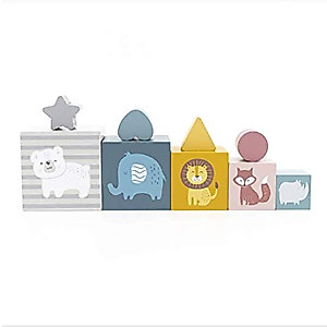 moderngenic Geometric Wooden Boxes | Blocks Stacker, Stacking & Nesting Educational Tower with Shapes, Pictures of Animals and Numbers for Toddlers