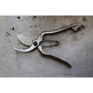 Skyhaven Harvest Bypass Pruning Shears 8 Inch Japanese-style Forged Carbon Steel Garden Scissors, Gardening Tools Hand Pruner with Ergonomic Handle.