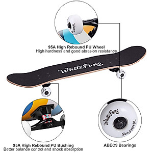 WhiteFang Skateboards for Beginners, Complete Skateboard 31 x 7.88, 7 Layer Canadian Maple Double Kick Concave Standard and Tricks Skateboards for Kids and Beginners (Skate Lane)