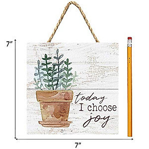 P. Graham Dunn Whitewash 7 x 7 Inch Wood Pallet Wall Hanging Sign, Today I Choose Joy Plant