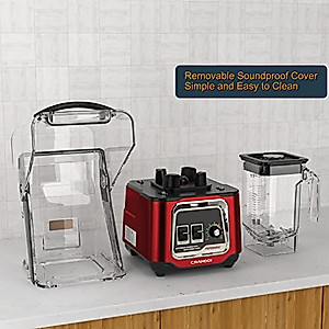 CRANDDI Quiet Smoothie Blender & K80 Tamper