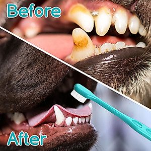 Guiqulai 100 Pcs Pet Toothbrush, Cat Toothbrush Dog Toothbrush Small Breed Dog Toothbrush Cat's Toothbrush for Cats, Puppies, and Small Breed Dogs Like Teacups, Chihuahuas