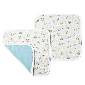 Copper Pearl Baby Security Blanket Set of 2 - Portable Size for Self-Soothing On-The-Go, Ideal Baby Blankets for Boys and Girls, Ultra-Soft, and Gift-Ready Loveys - Chip
