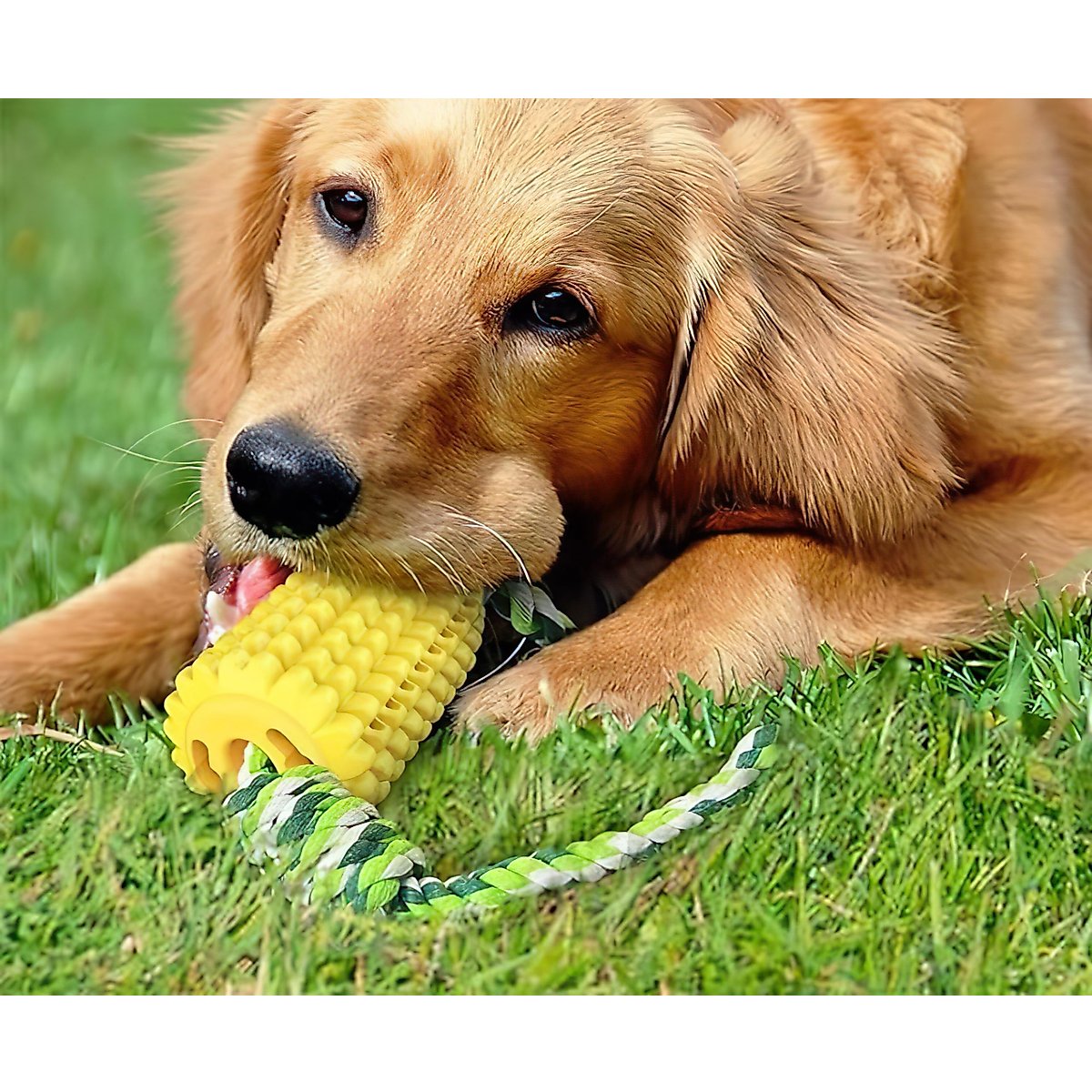 Generic Dog Chew Toys for Aggressive Chewers – 2 Pcs Set Indestructible Tough Durable Squeaky Interactive Dog Corn Stick Toys for Small Medium Large Pet Super Fun Puppy Teeth Chew, Yellow