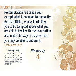 2023 Bible Verses Day-at-a-Time Box Calendar
