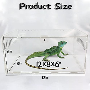 Magnetic Acrylic Reptile Cage,Transparent Enclosure Reptile Breeding Box,Breeding Box Terrarium Tank Suitabl for Tarantulas,Lizards,Chameleons,Hermit Crabs,Snakes,Insect,Turtle（12x8x6 Inch