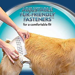 Simple Solution Disposable Dog Diapers for Female Dogs | Super Absorbent Leak-Proof Fit | Small | 30 Count