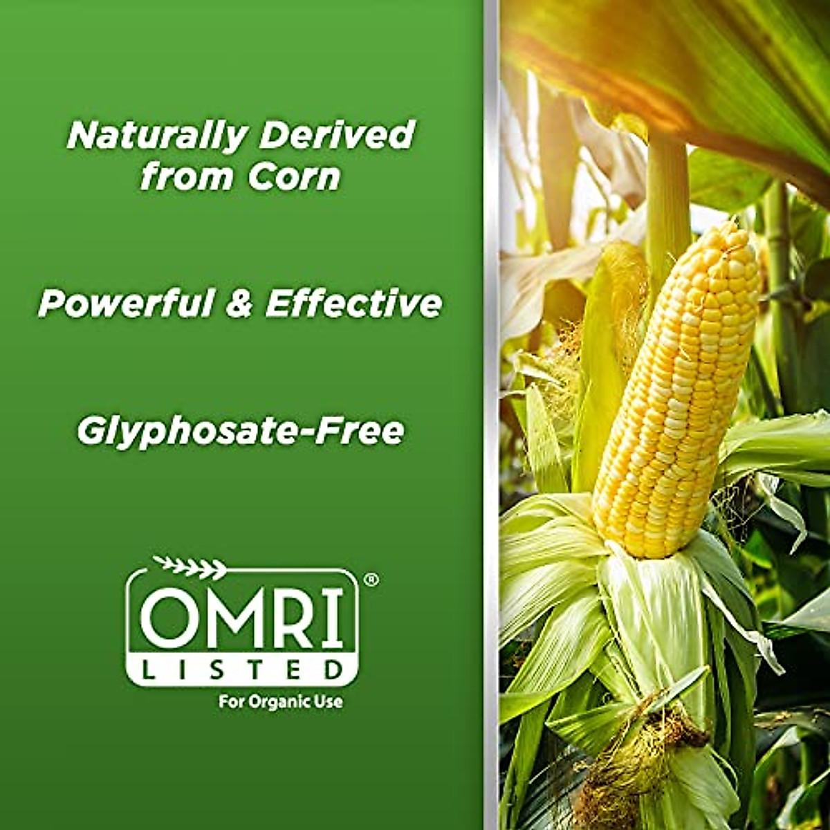 Green Gobbler 20% Vinegar Weed & Grass Killer | Natural & Organic | Concentrated | 1 Gallon Spray | Glyphosate Free Herbicide