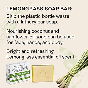 MightyNest Bath & Body Plastic Free Shower Set | HiBar Maintain Shampoo Bar and Conditioner Bar, Travel Size | Lemongrass Bar Soap | Compostable Konjac Body Sponge | Zero Waste and Vegan