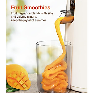 Cold Press Juicer, Updated Masticating Juicer Machines with 5" Feeding Chute Fit Whole Fruits &Vegetables, 99.6% Juice Purity, Streamlined Parts Easier to Clean/1.5L Capacity/2 Cups Included