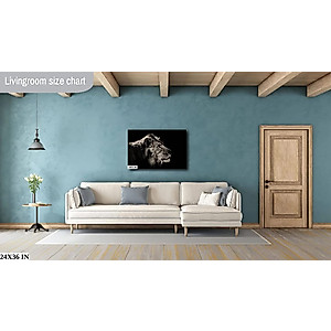 Lion (Panthera leo) - Print/Canvas/Acrylic/Metal (Print Only, 11x14 Inches)