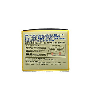 Hada Labo Rohto Gokujun Perfect Gel, 100g