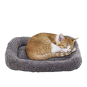 lesypet Cat Beds for Indoor Cats, Small Cat Bed for Curl Sleep Plush Cushion Washable Pet Bed for Small Dog with Anti-Slip Bottom, Small 16.5" x 11"