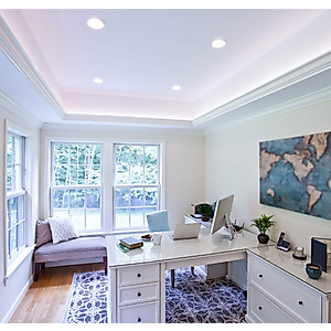 Sylvania LED R20 Flood Light Bulb, 50W = 5W, 10 Year, Dimmable, Frosted Finish, 325 Lumens, 5000K, Daylight - 2 Pack (73991), Cool White