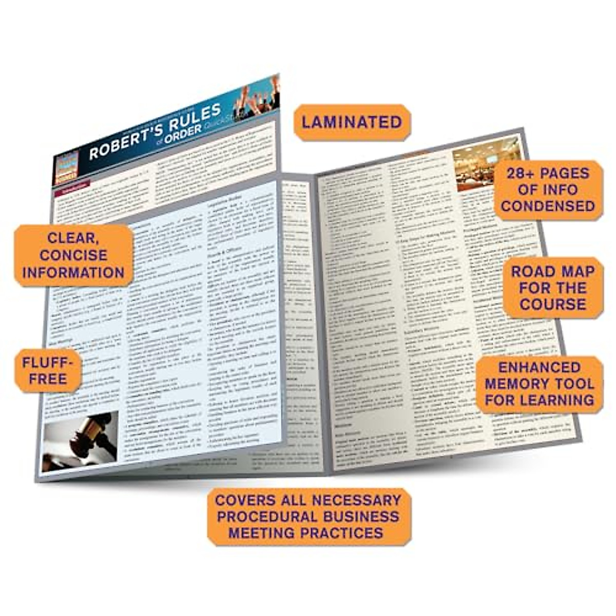 Robert's Rules Of Order QuickStudy Laminated Reference Guide (QuickStudy Business)