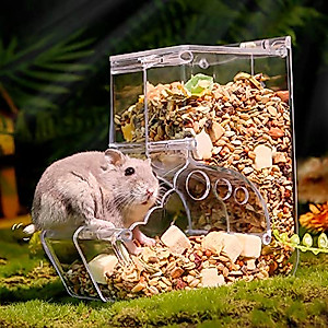 Lucky Interests 2 pcs Hamster Automatic Feeder 400ml, Hamster Food Dispenser with Brackets Small Animals Food Bowl for Dwarf Hamster Guinea Pig Chinchilla Gerbil Bird Hedgehog Ferret with 2 Spoon