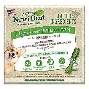 Nylabone Nutri Dent Natural Dental Fresh Breath Flavored Chew Treats Small - Up to 15 Ibs. 64 Count