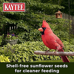 Kaytee Wild Bird (No Mess or Waste Free) Food Seed Blend for Blue Jays, Woodpeckers, Juncos, Cardinals, Grosbeaks, Sparrows, and Finches, 10 Pound, (Packaging May Vary)