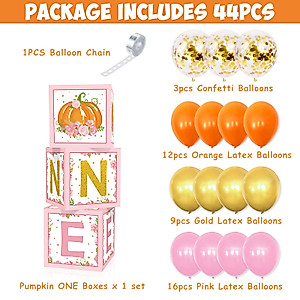 Fall Pumpkin First Birthday Balloon Boxes One Box Blocks Decorations Thanksgiving Birthday Cake Smash Party Photo Props Backdrop (Pink)