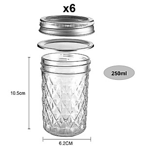 BOMEX Mason Jars Airtight Lids Glass Canning Jars 8oz/250ml Regular Lids Spice Jars Honey Jars for Yogurt,Jam,Spice,Overnight Oats Canning, Preserving,Decorations,Jelly,Dessert,6 Pack (8 oz)